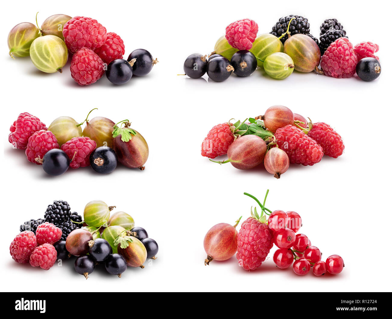 Berries (raspberry, blackcurrant, blackberry, gooseberry) isolated on ...