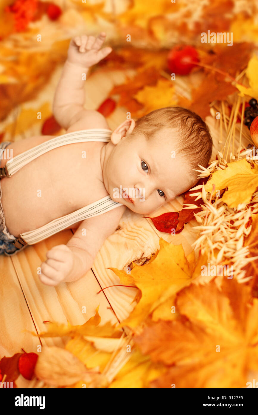 Autumn newborn. Autumn time scene. little baby with red yellow maple ...