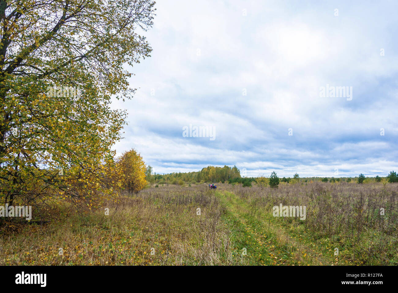 A small group of tourists is walking along a field road on an autumn ...