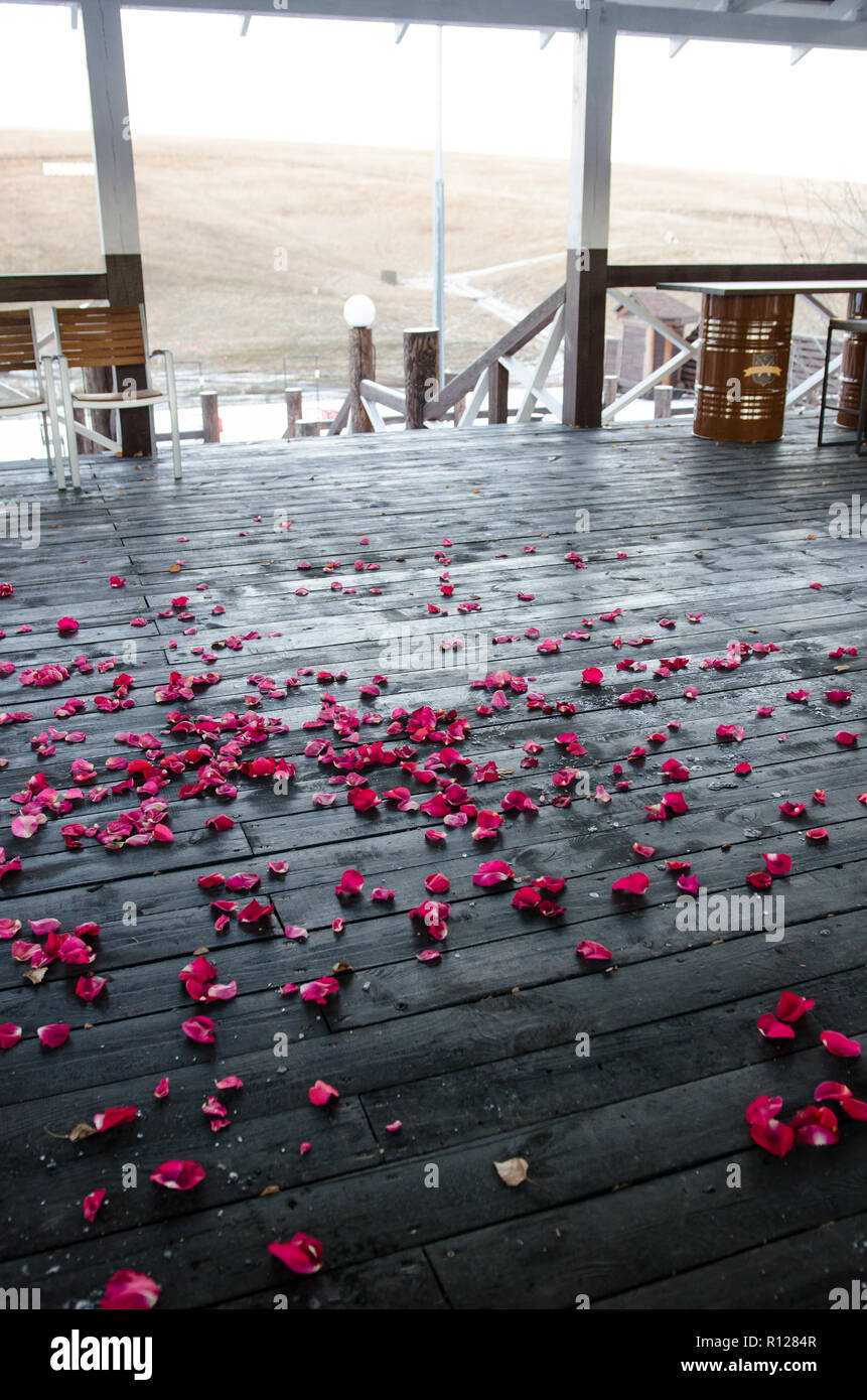 Dark wooden textured floor covered with red rose petals. After wedding ...