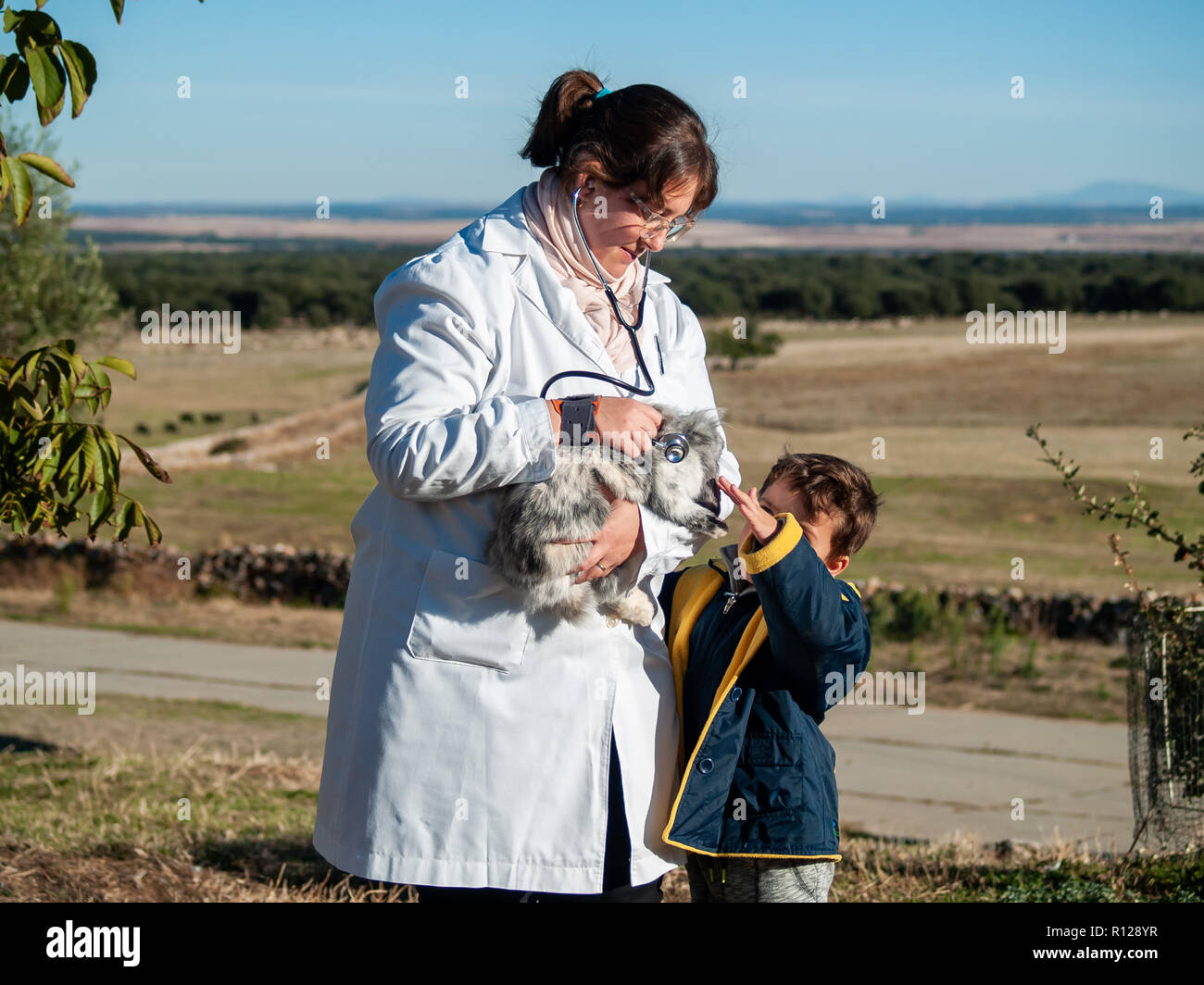 Sick rabbit hi-res stock photography and images - Alamy