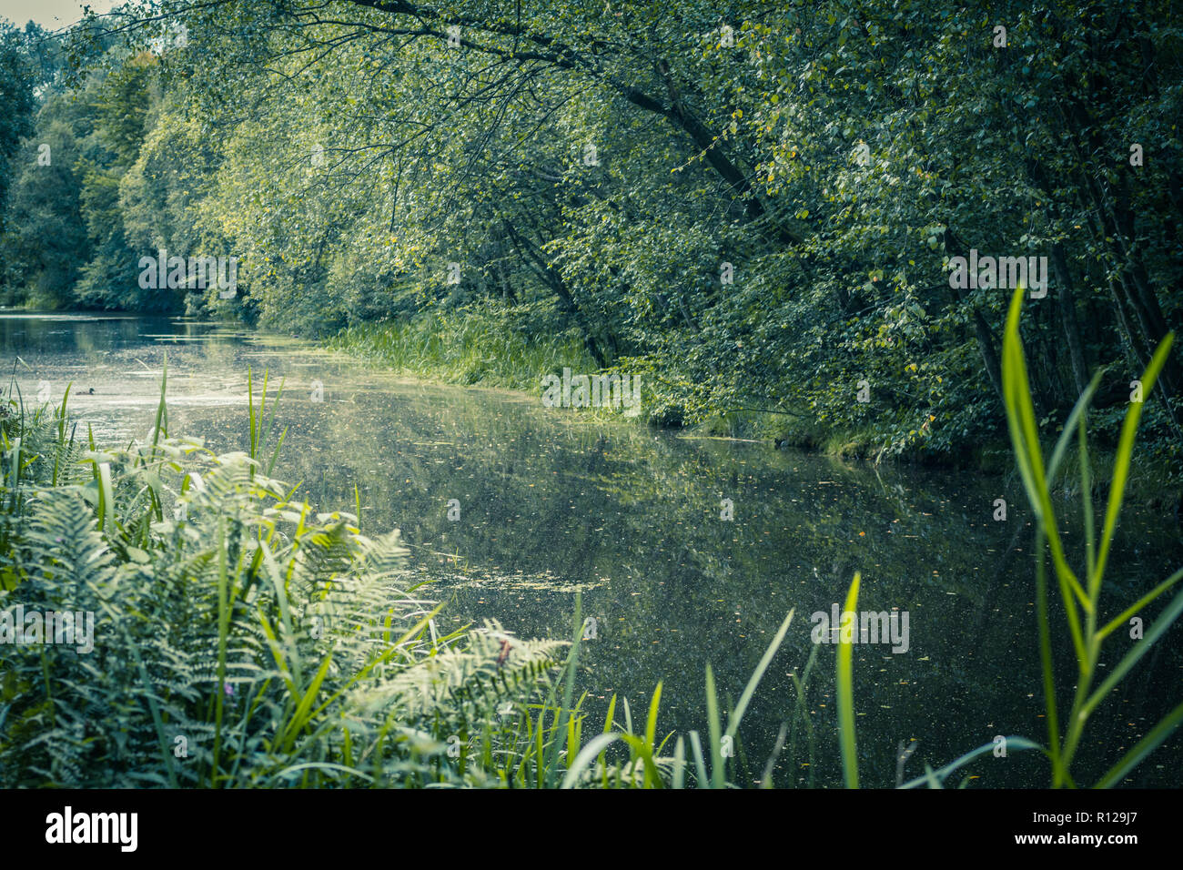 Canal monklands hi-res stock photography and images - Alamy