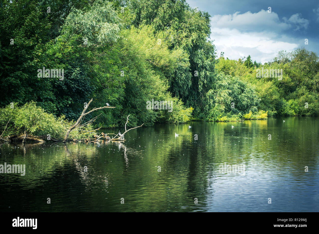 Linlithgow Loch in Linlithgow, Scotland Stock Photo - Alamy