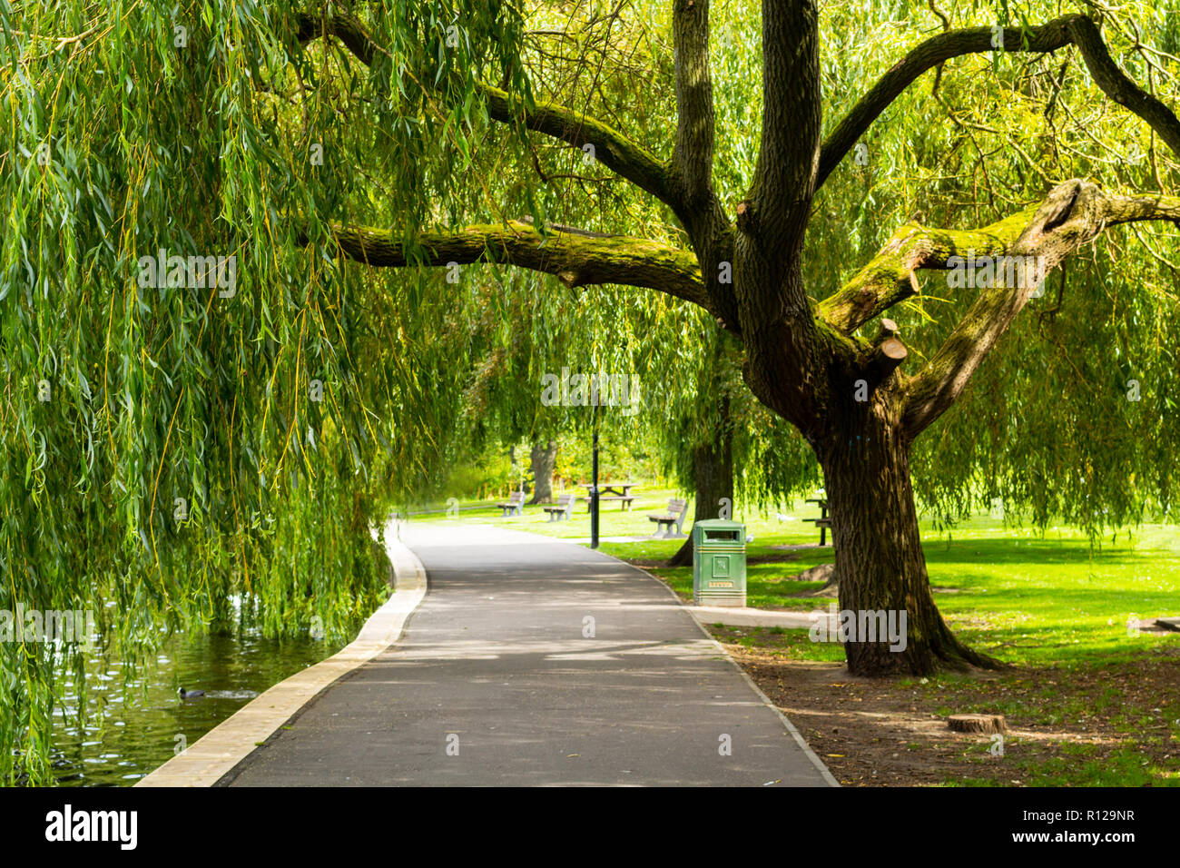 Lonlithgow Loch and the castle, Scotland, UK Stock Photo - Alamy