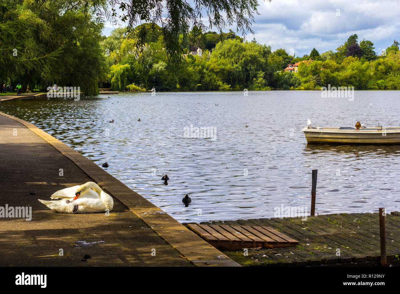 Linlithgow Loch in Linlithgow, Scotland Stock Photo - Alamy