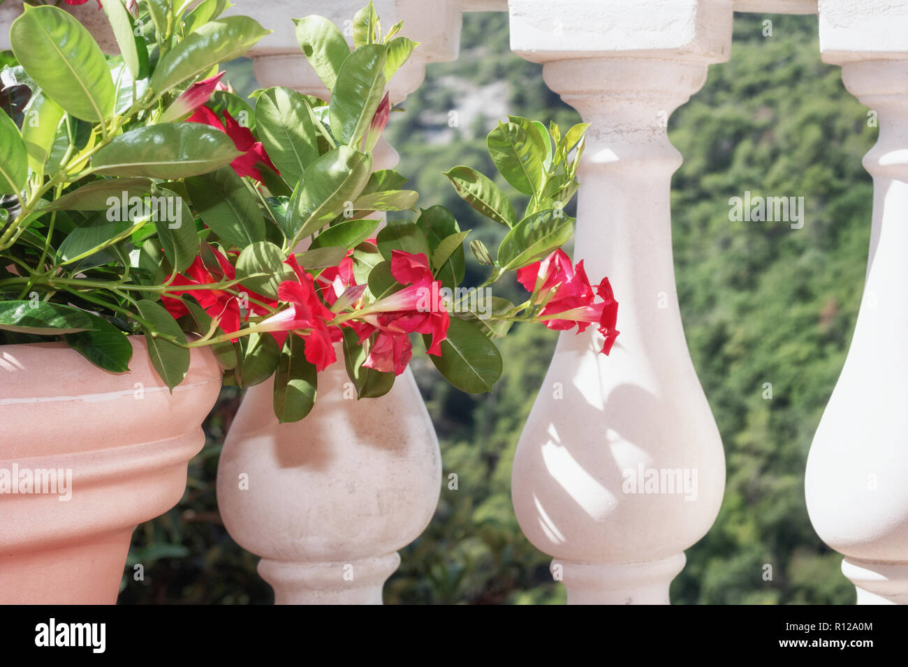 Stone balustrade on terrace view hi-res stock photography and images ...
