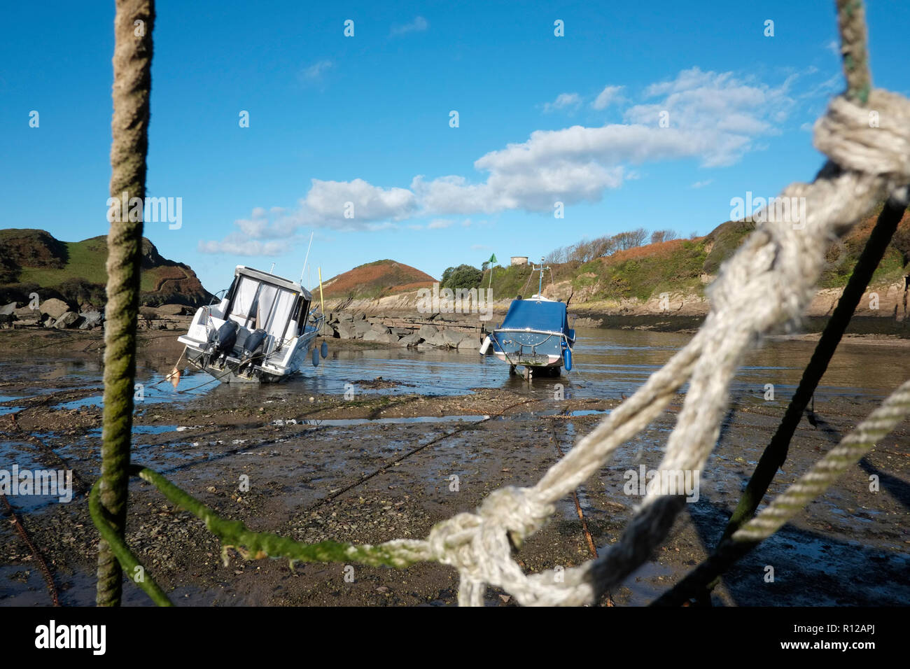 Watermouth bay devon hi-res stock photography and images - Alamy