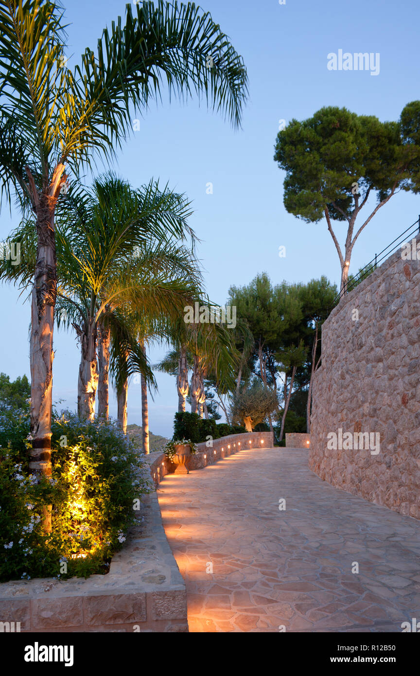 Lit up night palm trees hi-res stock photography and images - Alamy