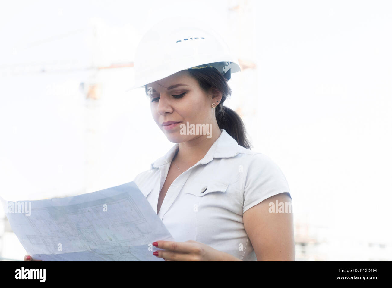 Female engineer reading blueprint Stock Photo - Alamy