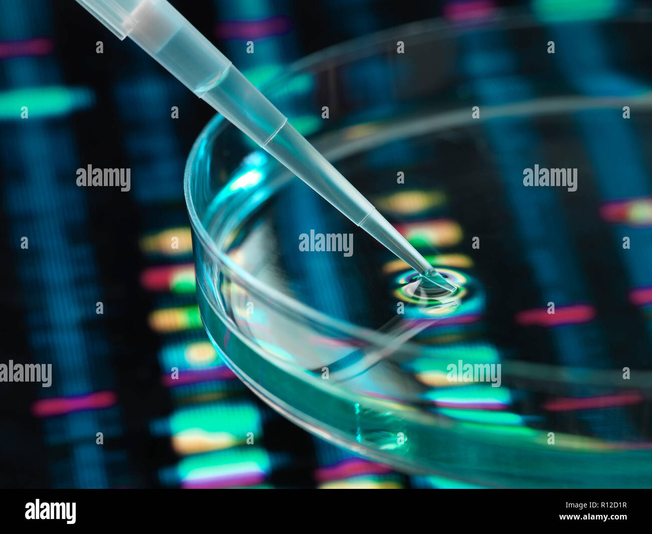 Pipette adding sample to petri dish with DNA profiles in background ...