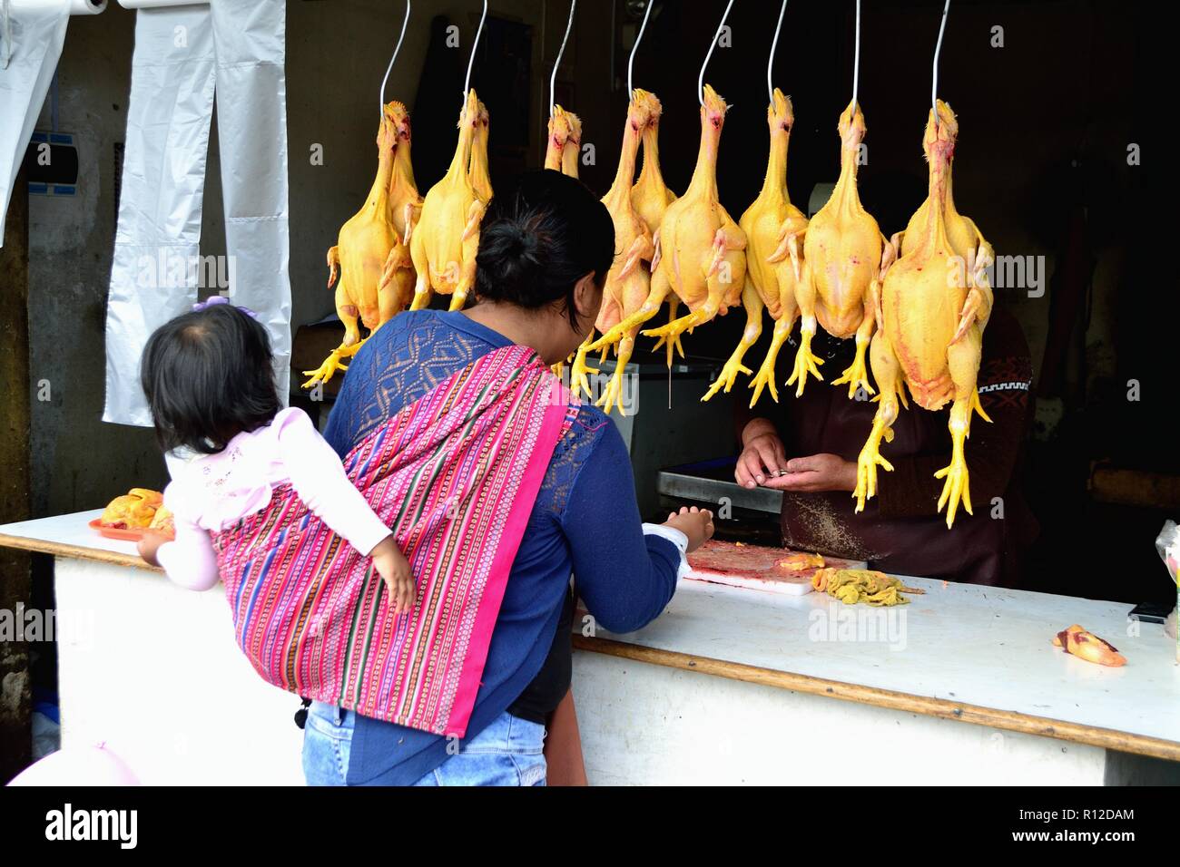 Selling creole hen - Market in HUARAZ. Department of Ancash.PERU Stock ...
