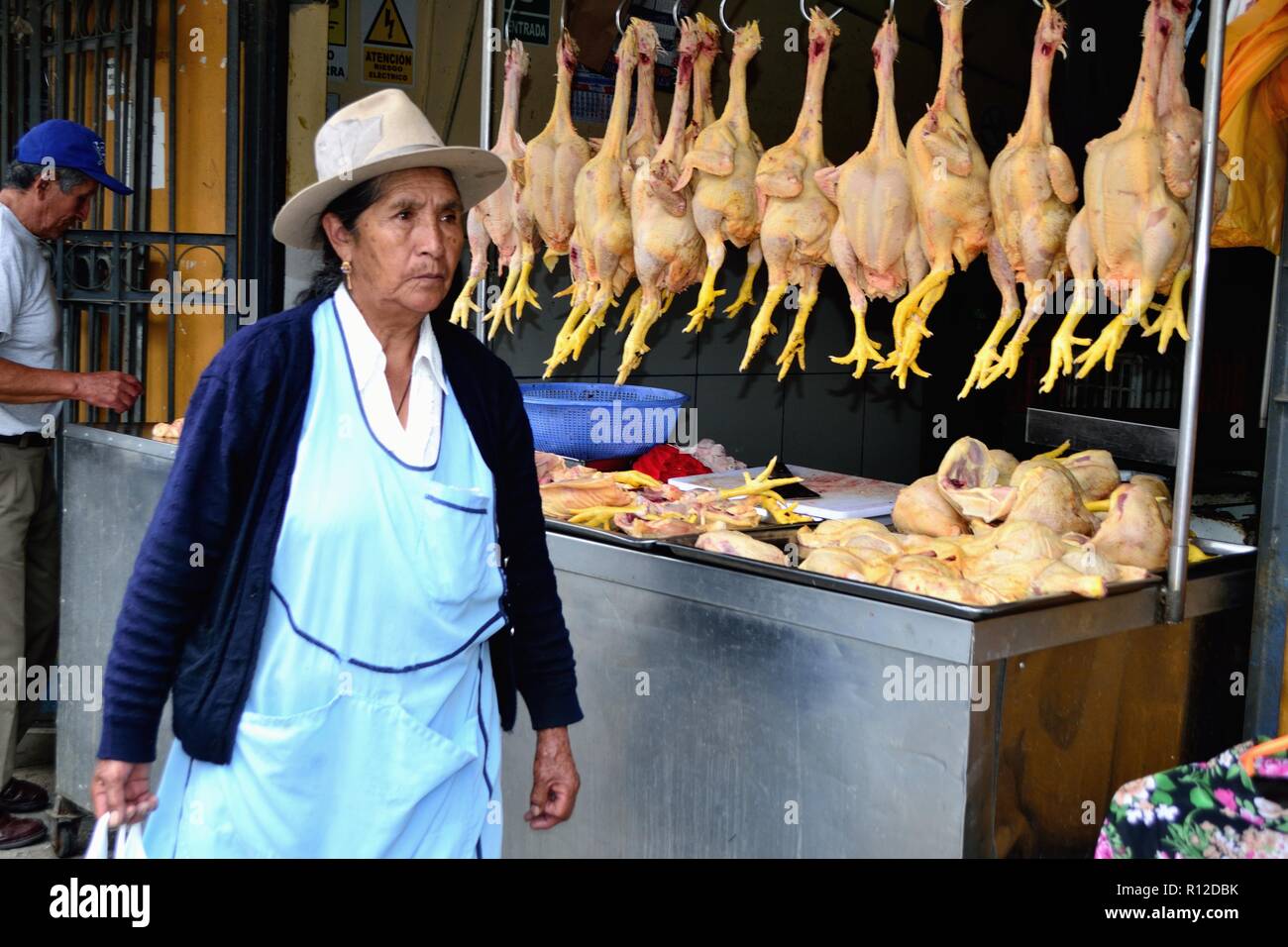 Chicken hen indigenous hi-res stock photography and images - Alamy