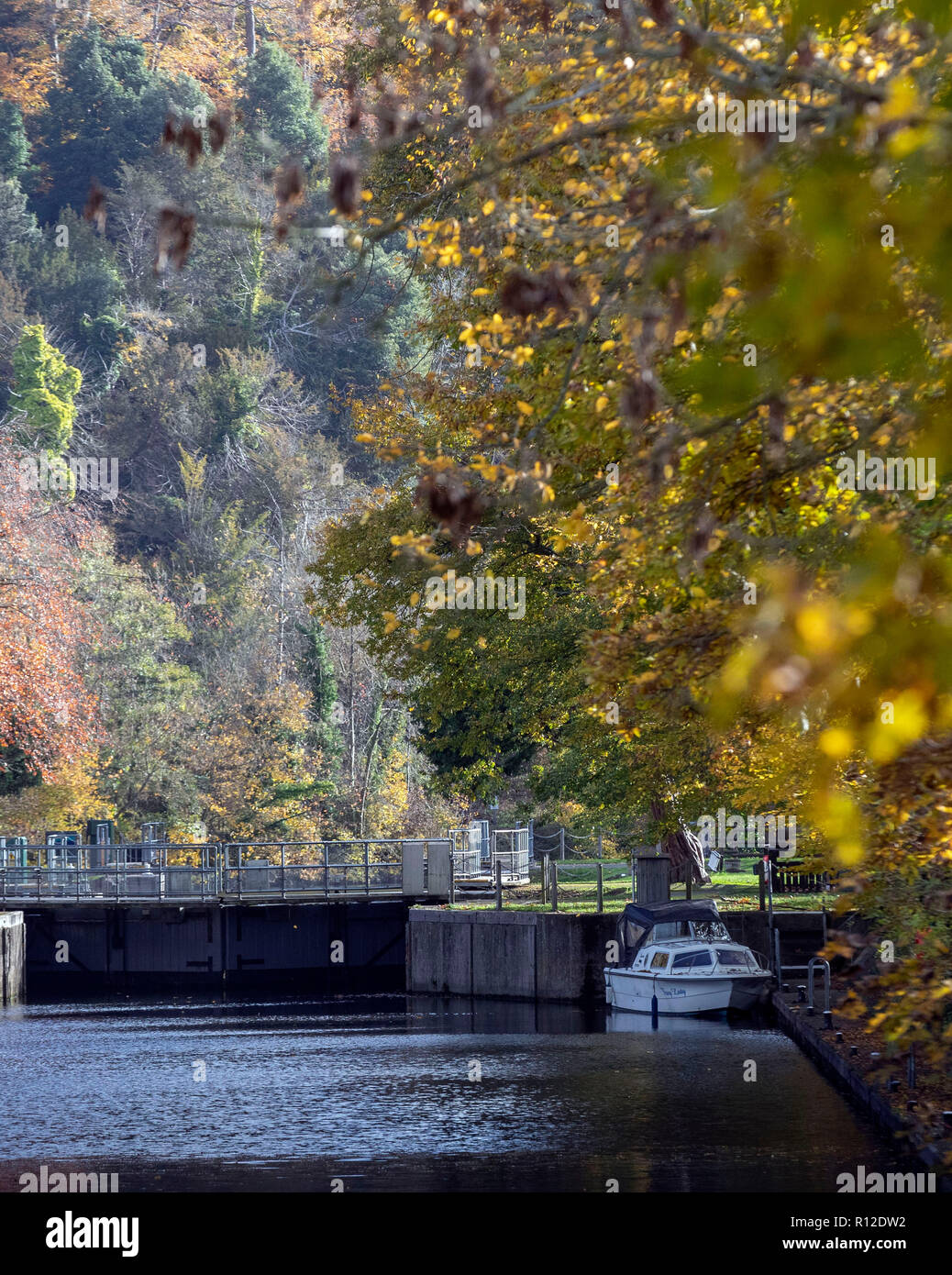 Autumn trees along the River Thames at Cookham Lock, in Berkshire Stock ...