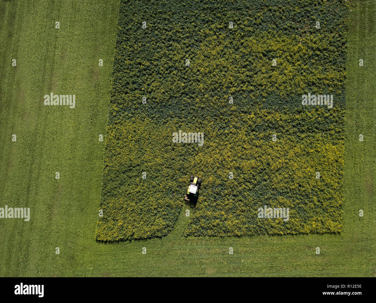 Overhead aerial view in field hi-res stock photography and images - Alamy