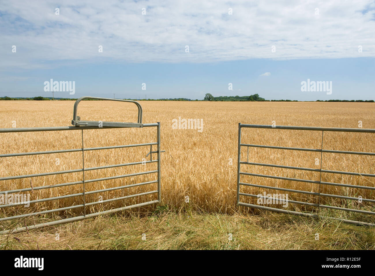 Types Of Farm Gates And How To Choose The Perfect One?, 43% OFF