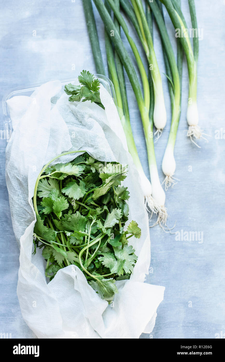 Fresh coriander wrapped in paper towel and green onions Stock Photo - Alamy