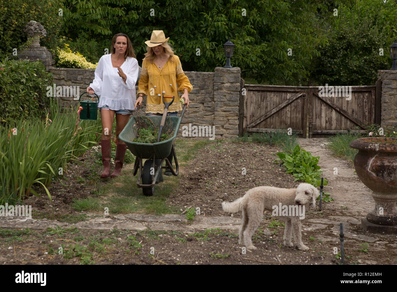 Women using wheelbarrow in garden Stock Photo - Alamy
