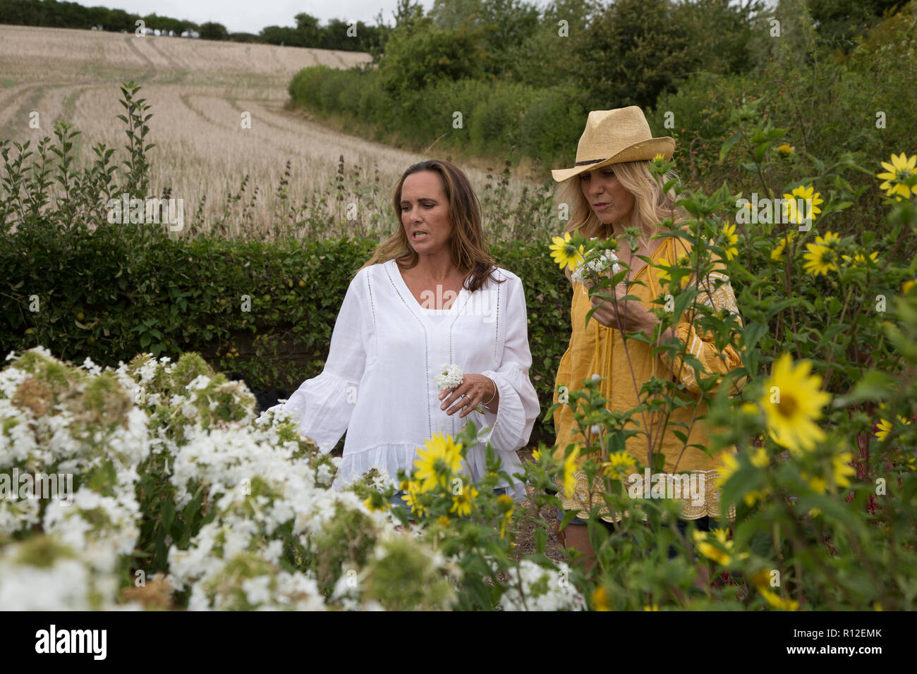 Women working on garden in countryside Stock Photo - Alamy