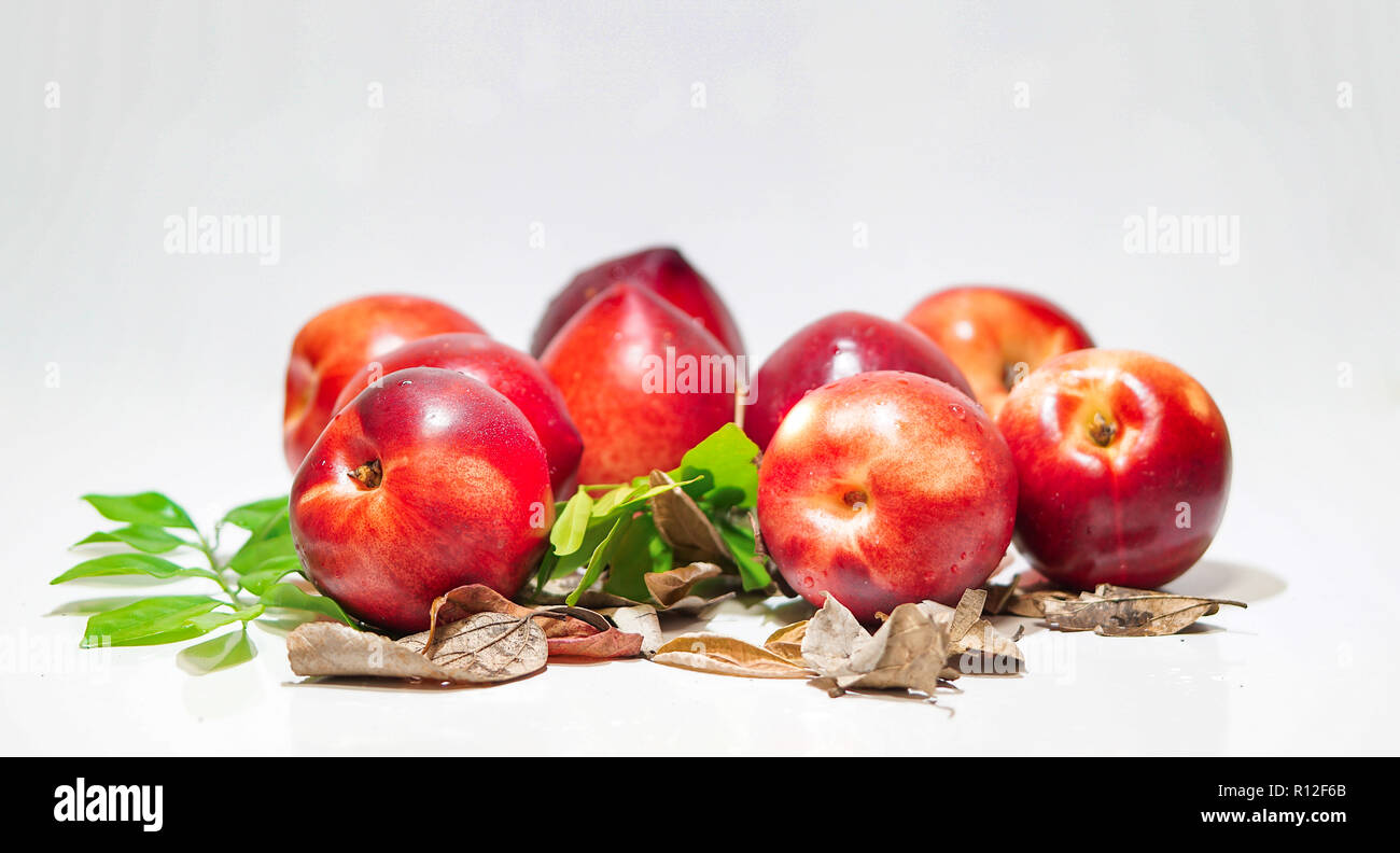 Nectarine snow pearl hi-res stock photography and images - Alamy
