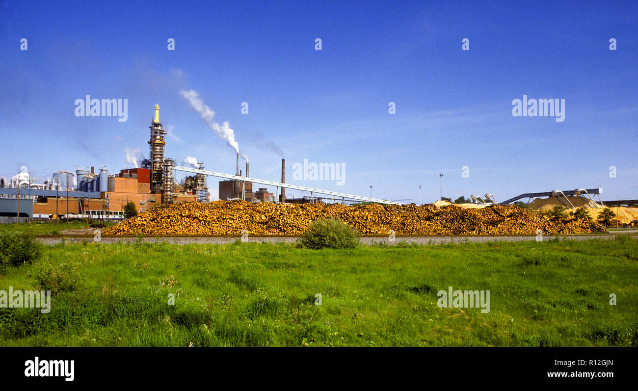 Paper mill manufacturing hi-res stock photography and images - Alamy