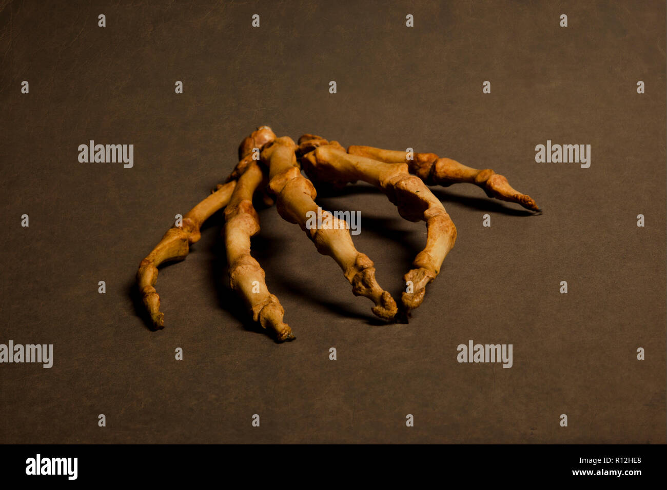Skeleton of hand Stock Photo - Alamy
