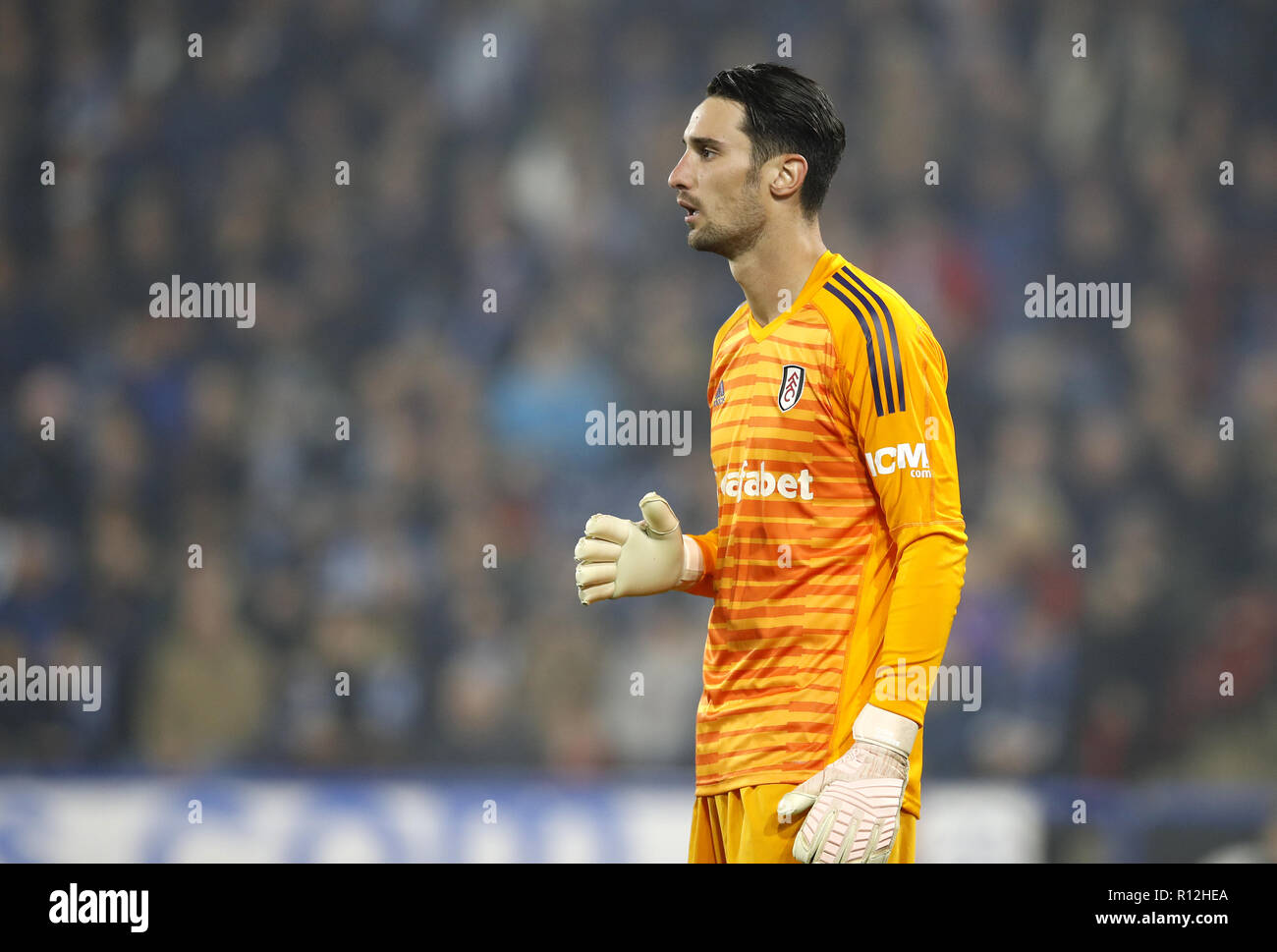 Fulham goalkeeper Sergio Rico Stock Photo - Alamy