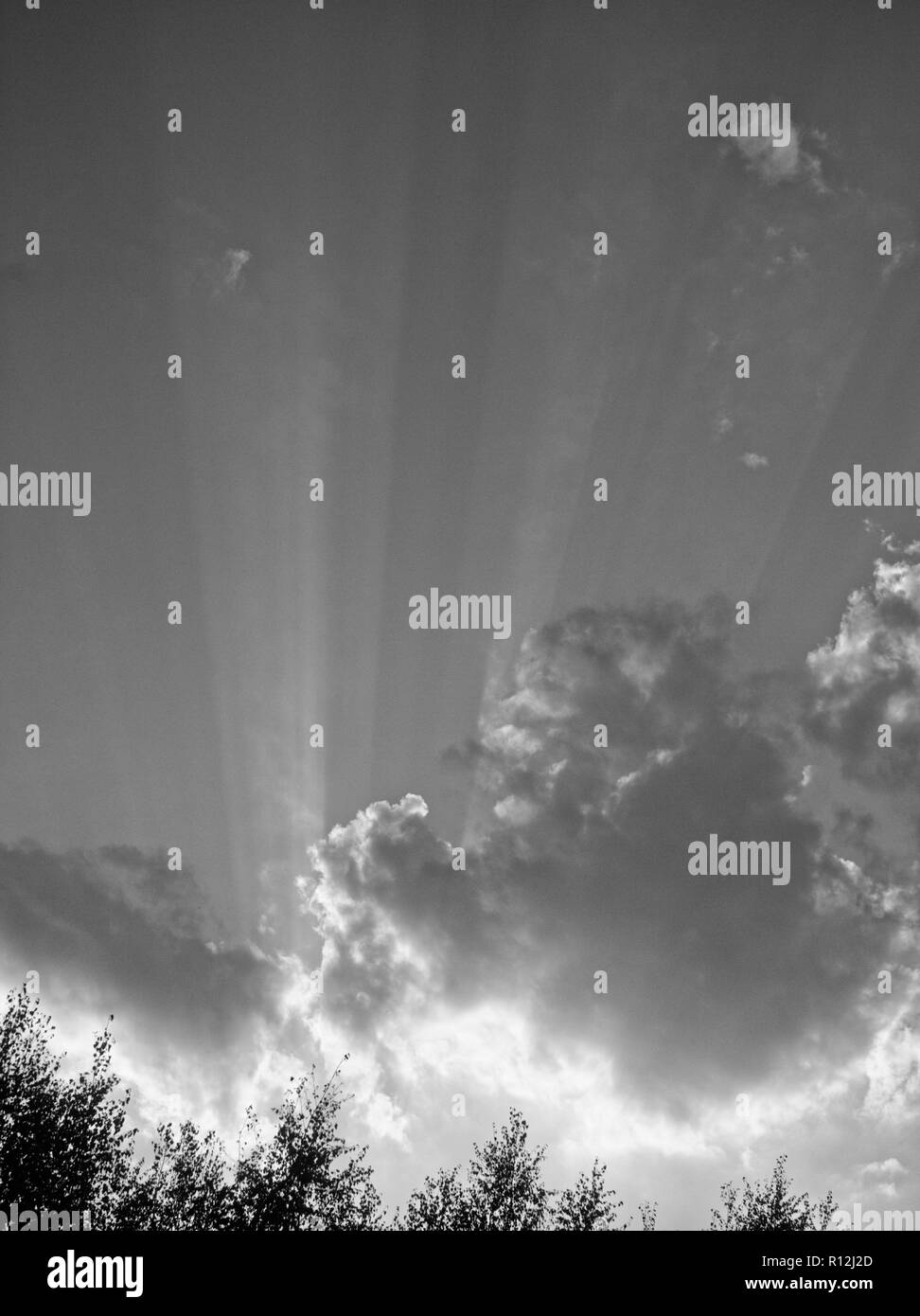 Orange rays background Black and White Stock Photos & Images - Alamy
