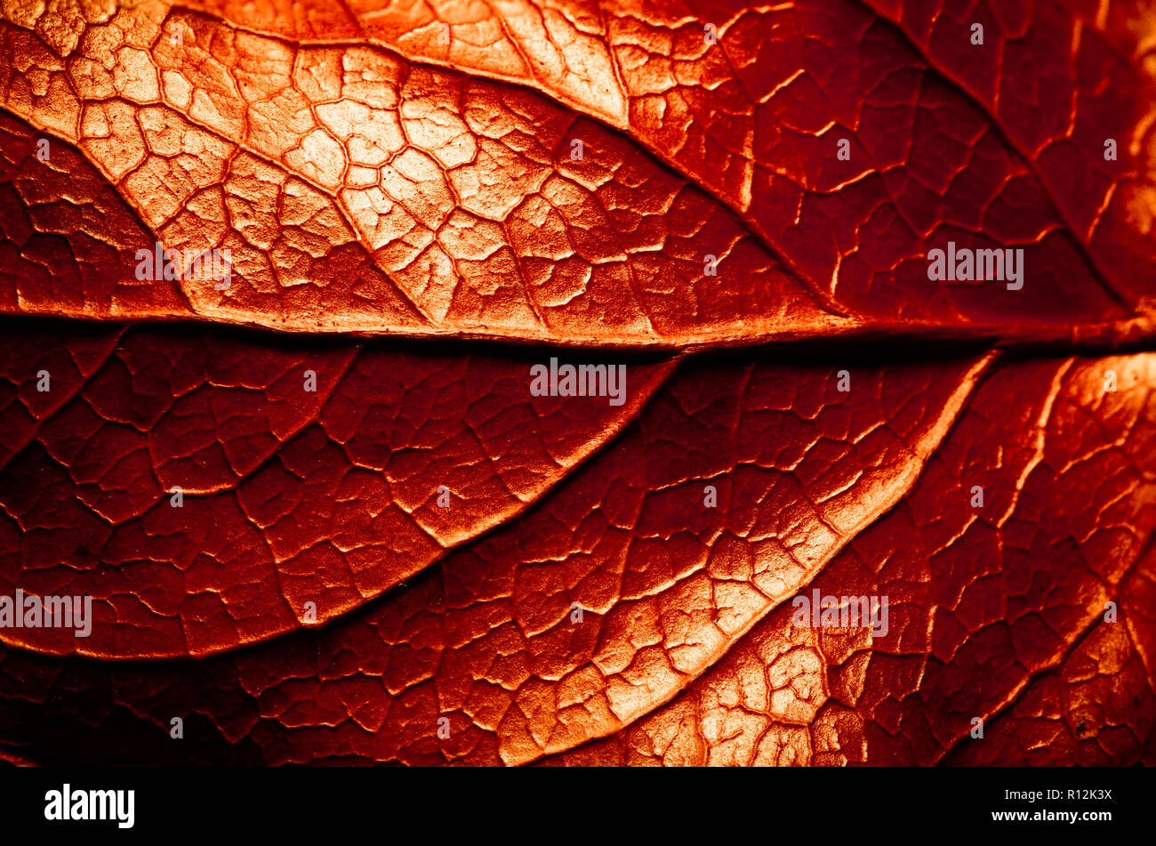 Red and sepia toned dry leaf rugged surface structure extreme macro ...