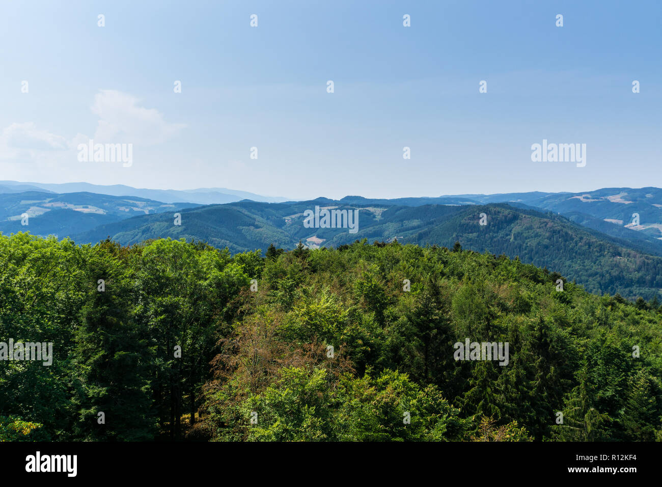 Germany, Above tree tops of black forest trees on a mountain Stock ...