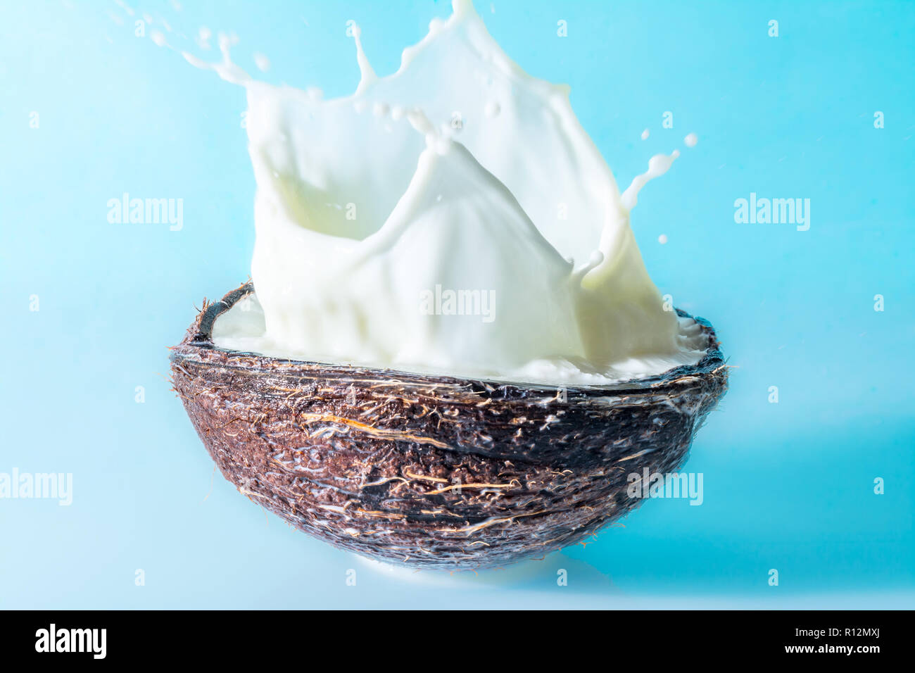 Coconut with milk splash on a blue background, splashing milk in ...
