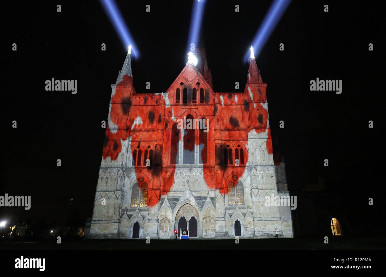 The Royal British Legionâ€™s 'Falling Poppies' projection is displayed ...