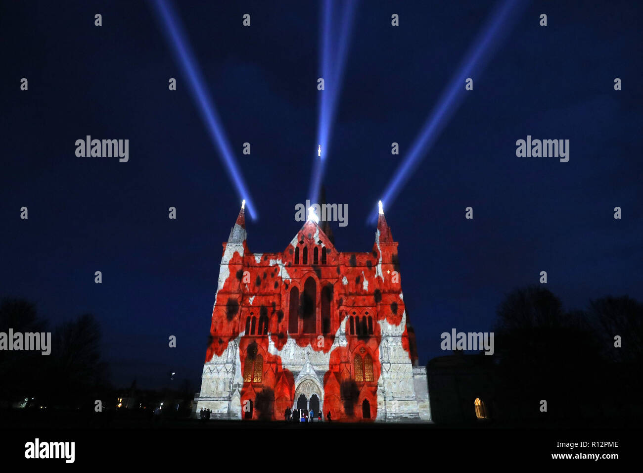 The Royal British Legionâ€™s 'Falling Poppies' projection is displayed ...