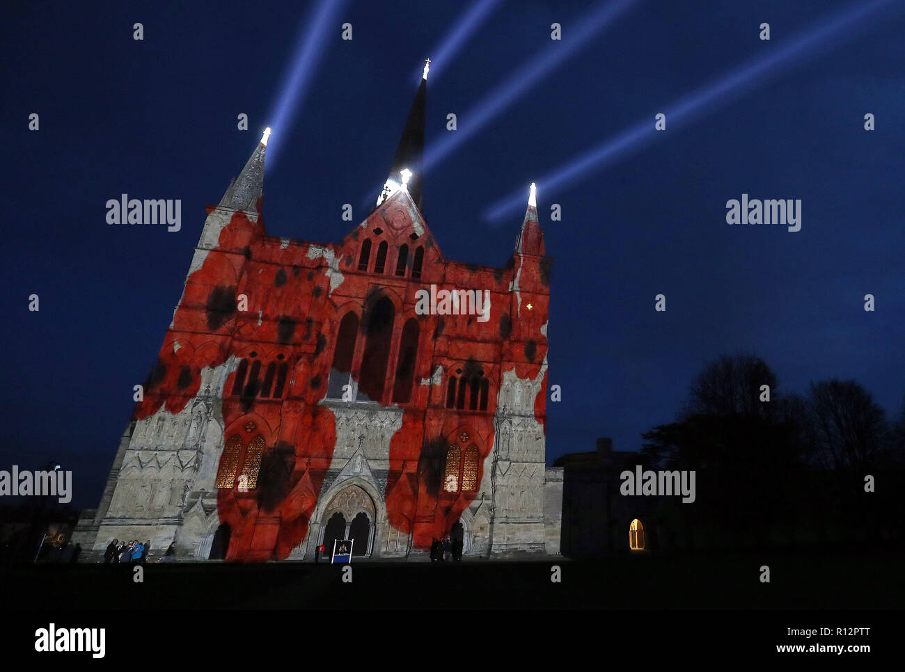 The Royal British Legionâ€™s 'Falling Poppies' projection is displayed ...