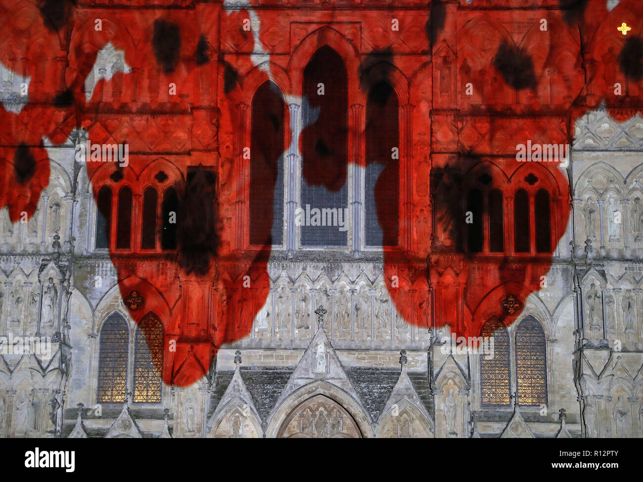 The Royal British Legionâ€™s 'Falling Poppies' projection is displayed ...