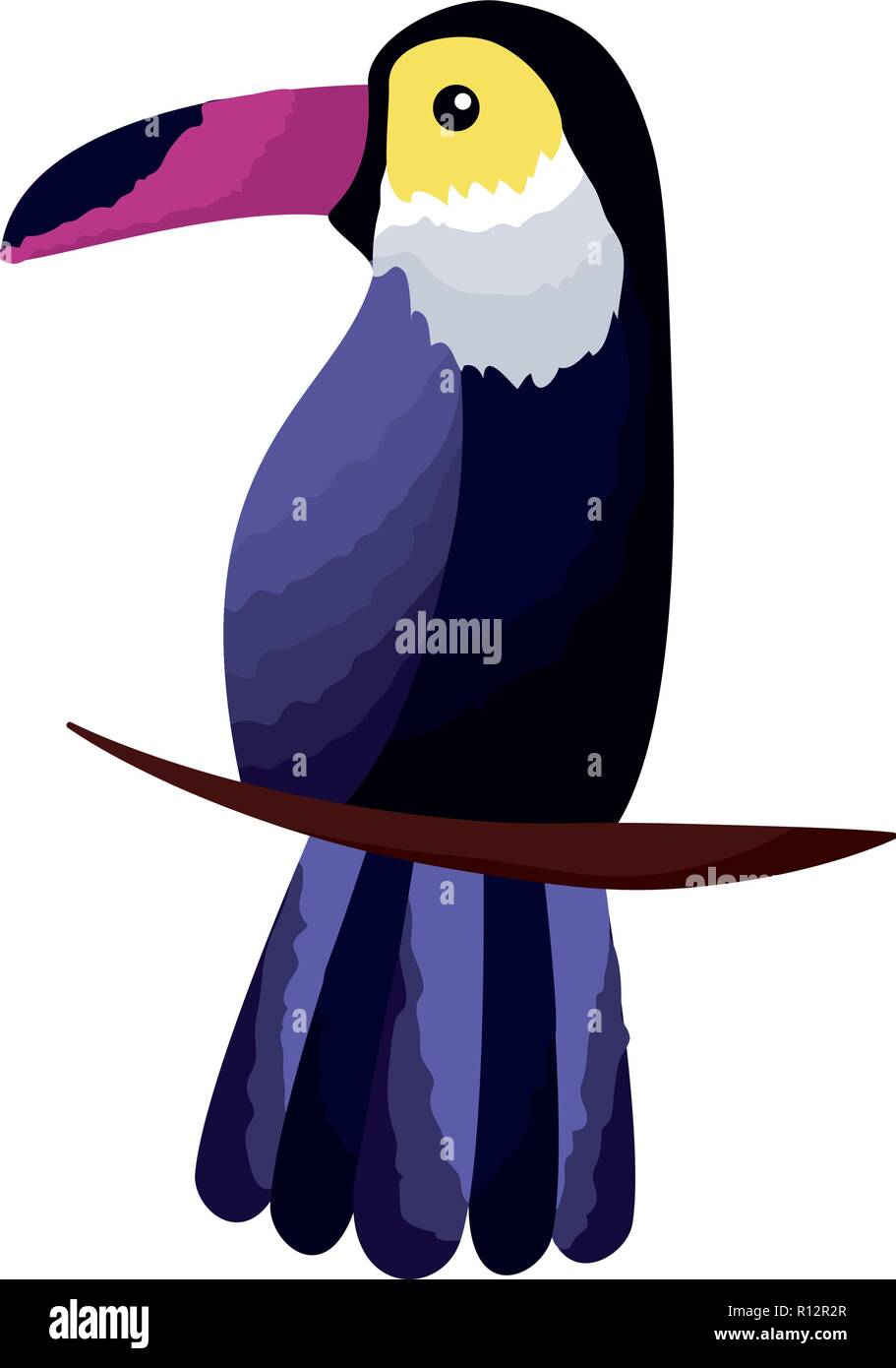 exotic toucan bird leaves tropical vector illustration Stock Vector ...