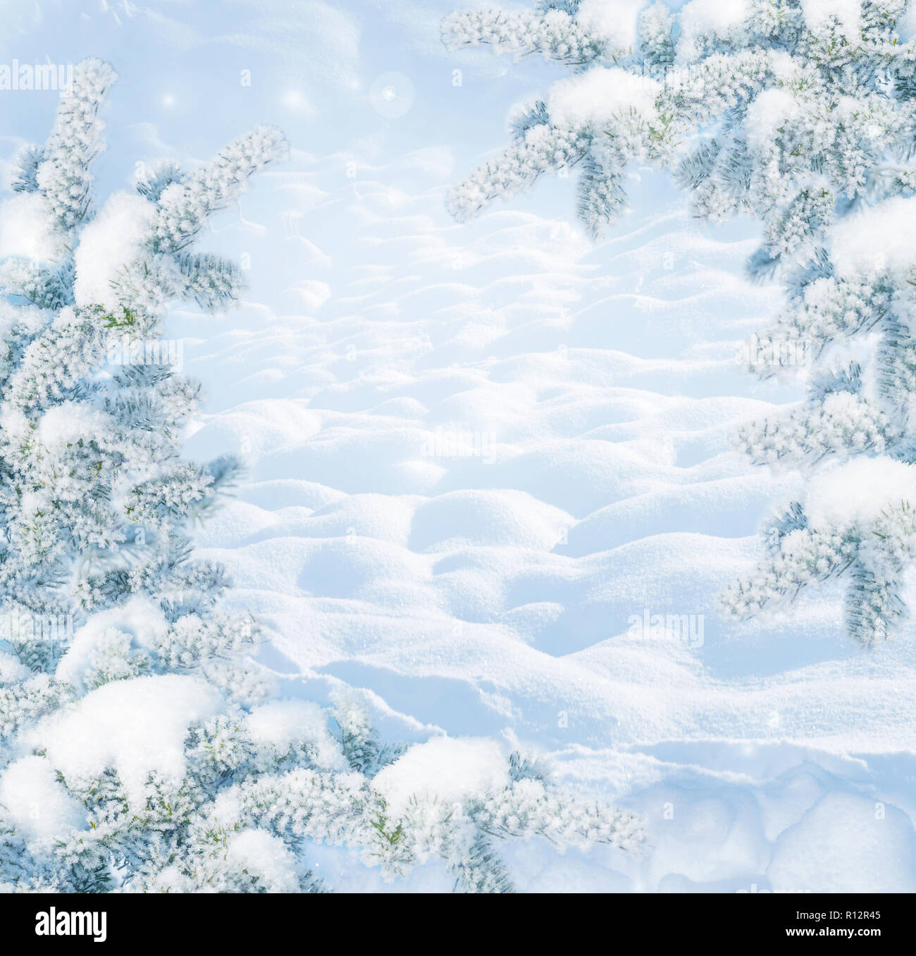 Backdrop of trees hi-res stock photography and images - Alamy