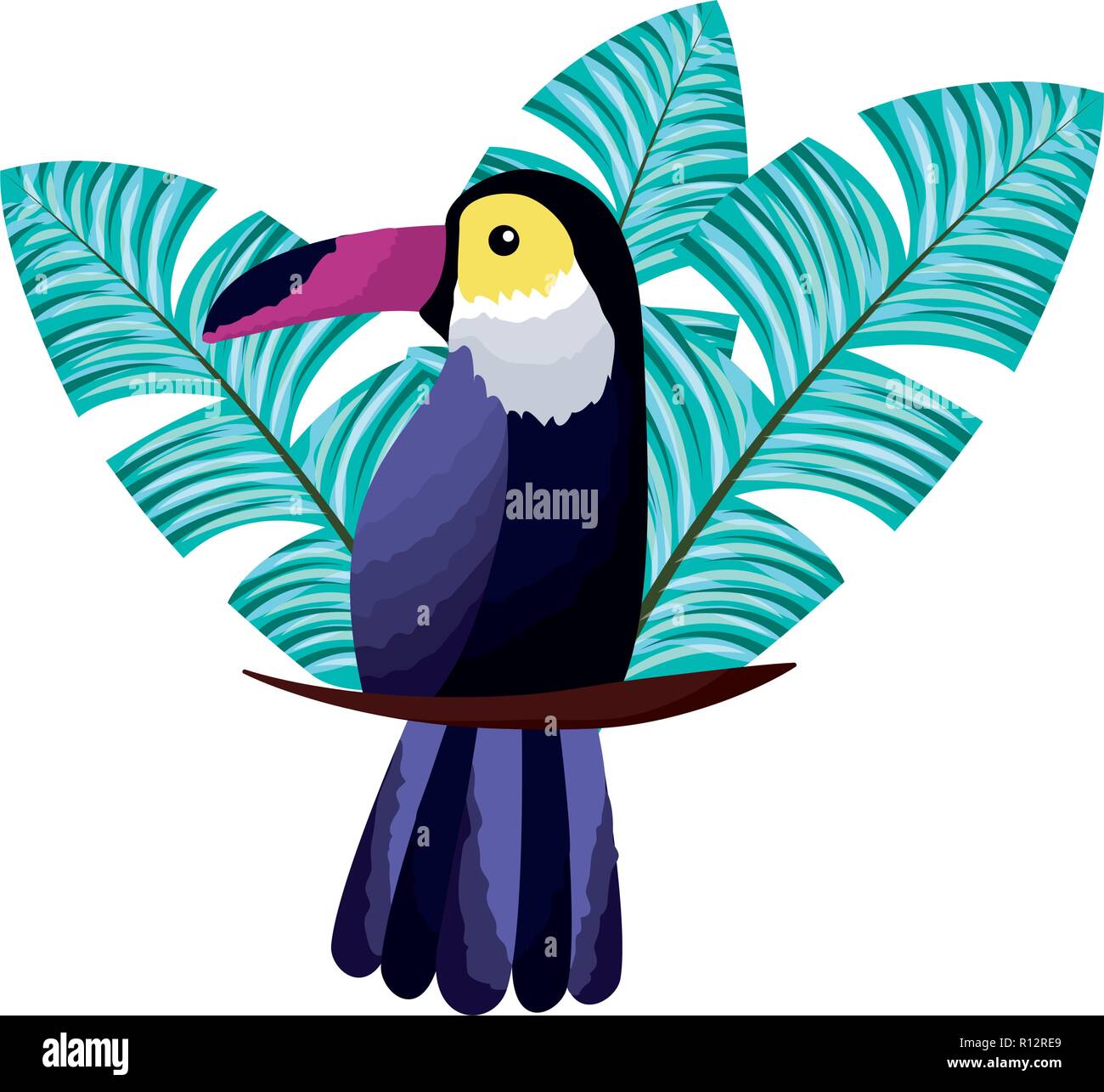 exotic toucan bird leaves tropical vector illustration vector ...