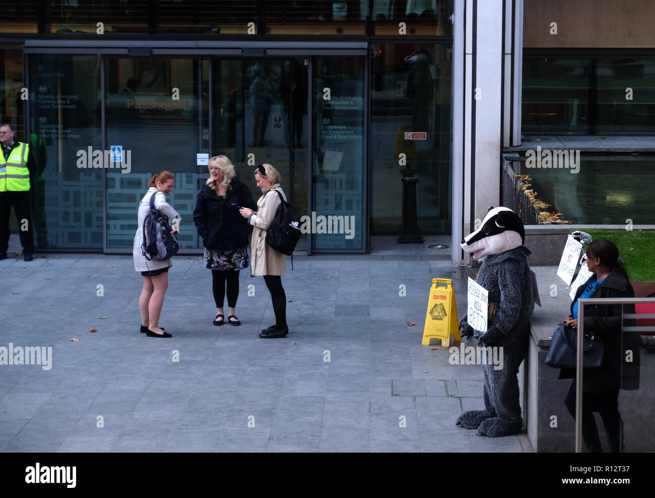 London, UK. 8th Nov 2018. A lone protester dressed as a badger stands ...