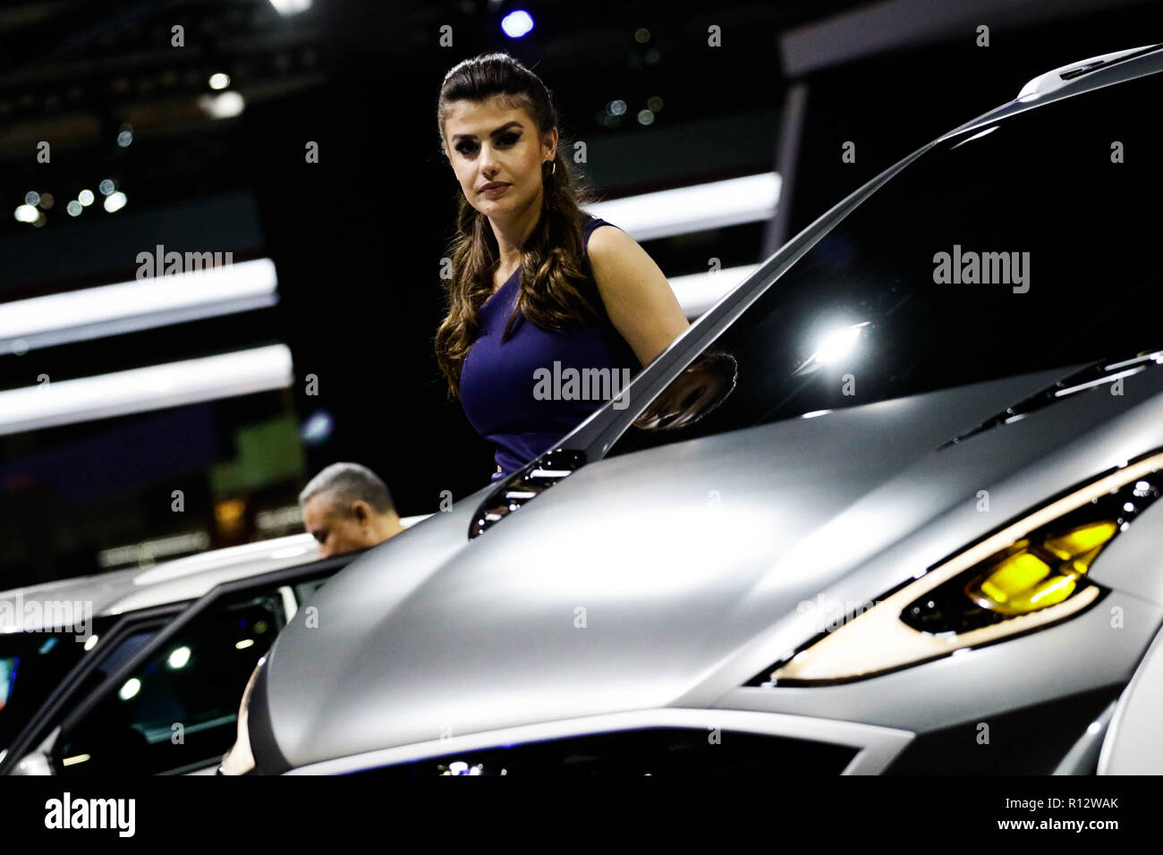 Sao Paulo, Brazil. 8th November, 2018. The International Automobile ...