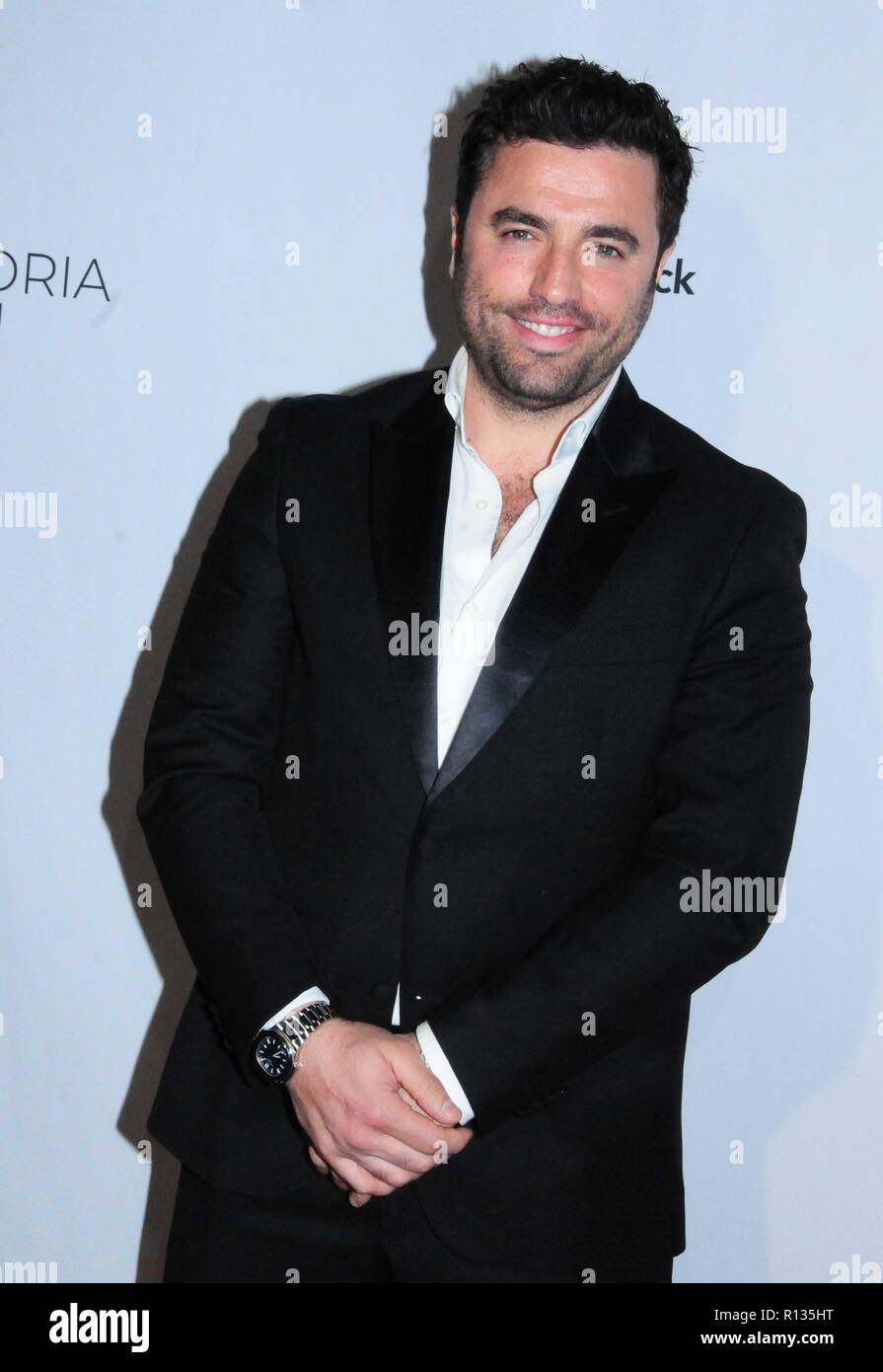 Los Angeles, California, USA. 8th November, 2018. Actor Luca Riemma ...