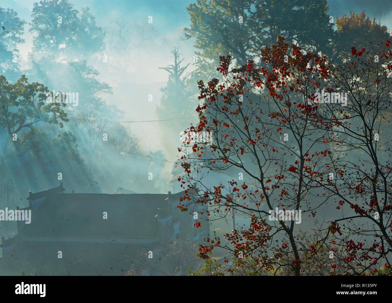 Wuyuan. 9th Nov, 2018. Photo taken on Nov. 9, 2018 shows the scenery of ...