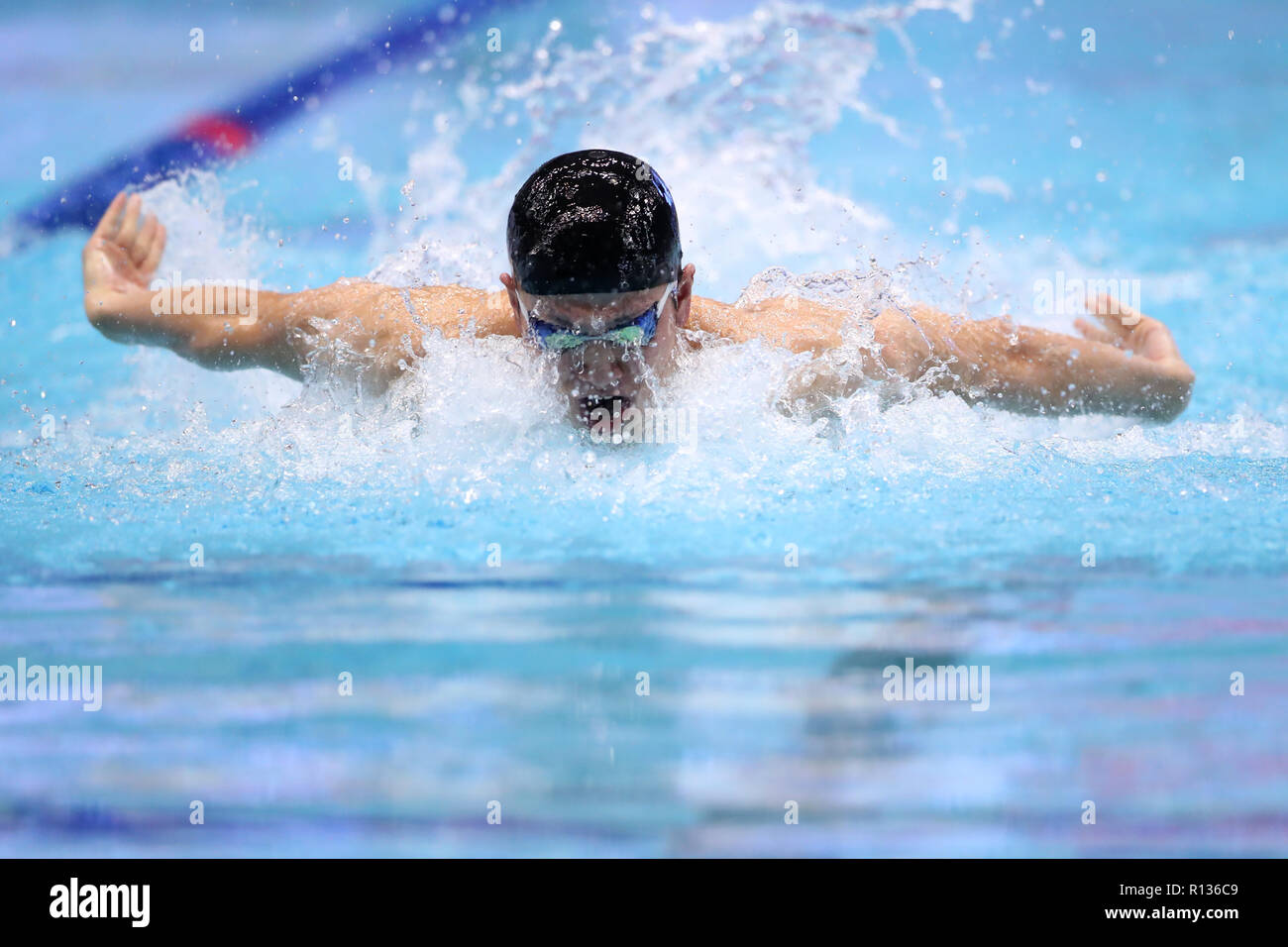 Tokyo, Japan. 9th Nov, 2018. Juran Mizohata (JPN) Swimming : 2018 FINA ...
