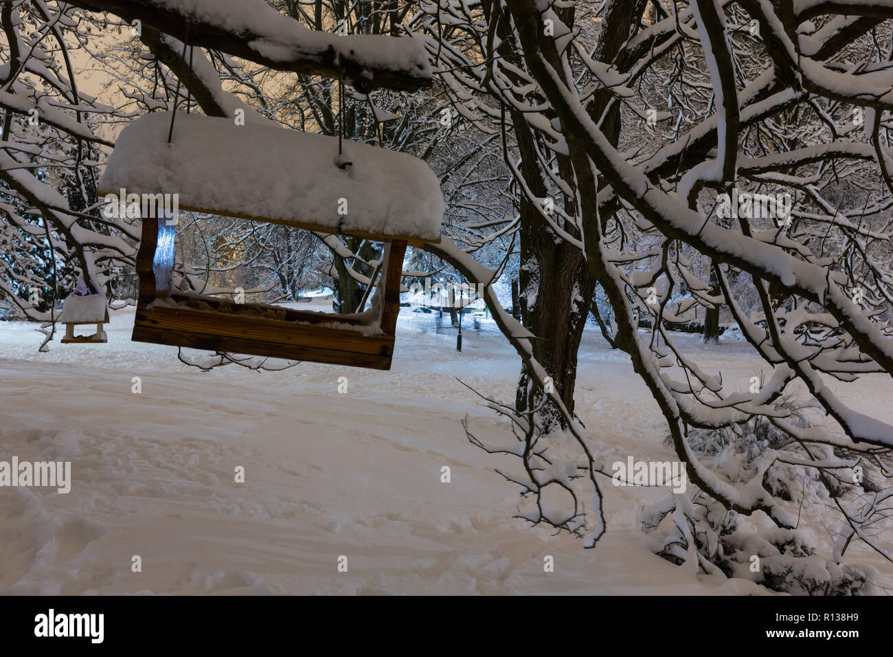 Beautiful night winter Stryjskyj park in the center of Lviv city ...