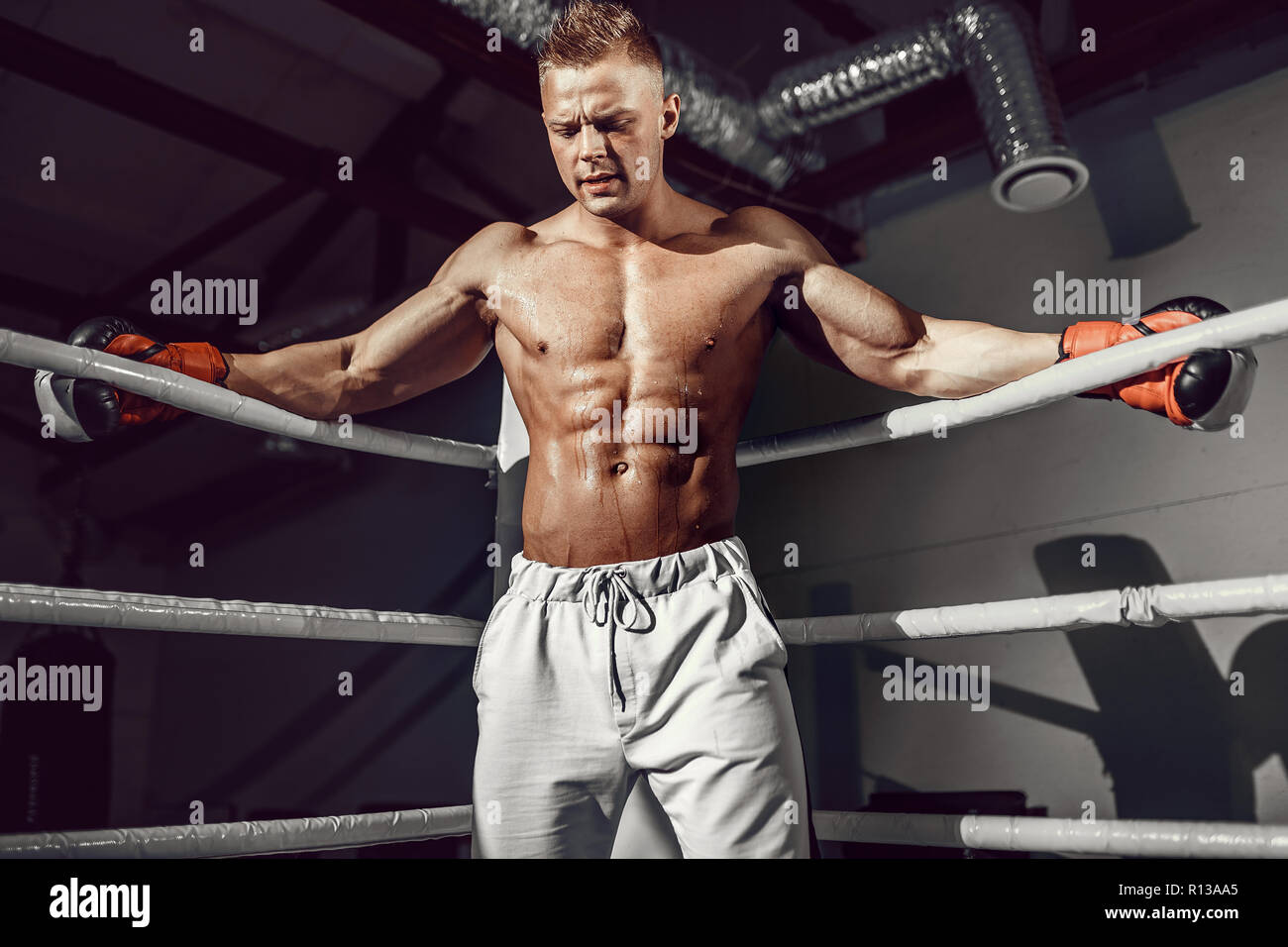 muscular professional kick boxer resting on the ropes in the corner of ...