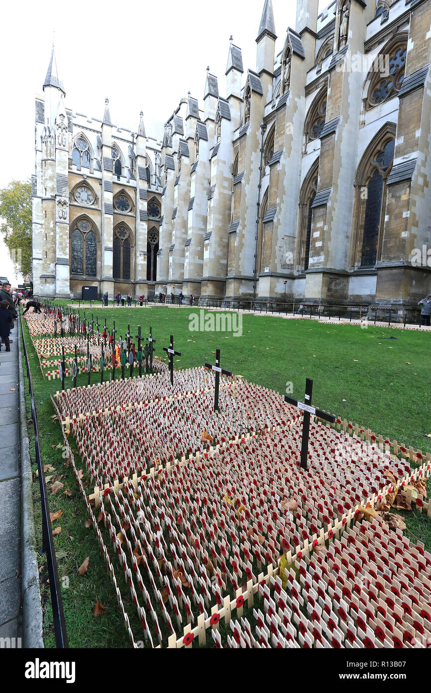 Remembrance tributes are planted in Fields of Remembrance, with each ...