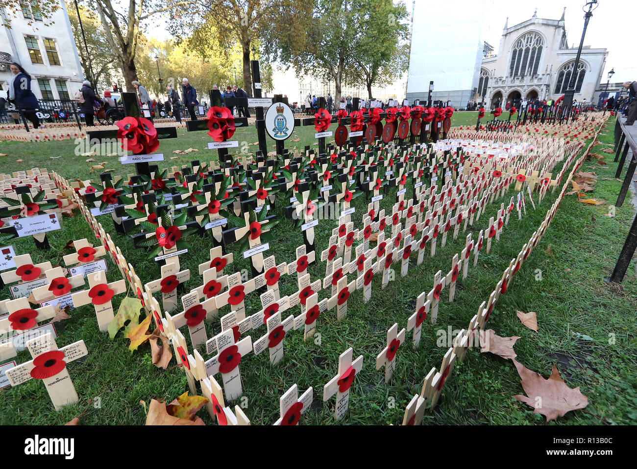Remembrance tributes are planted in Fields of Remembrance, with each ...