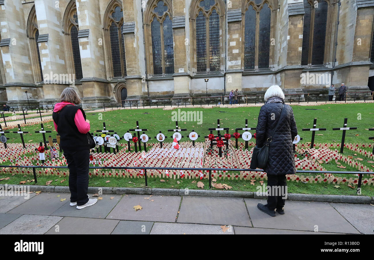 Remembrance tributes are planted in Fields of Remembrance, with each ...