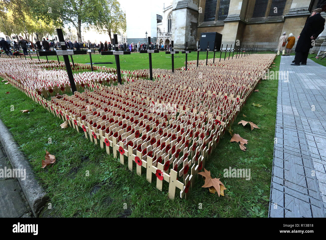 Remembrance tributes are planted in Fields of Remembrance, with each ...