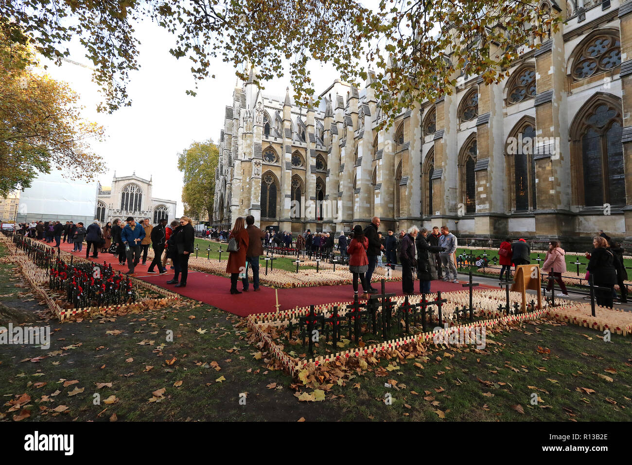 Remembrance tributes are planted in Fields of Remembrance, with each ...
