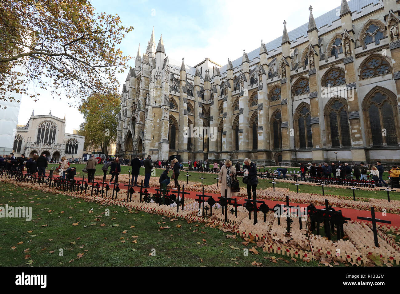 Remembrance tributes are planted in Fields of Remembrance, with each ...